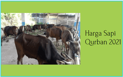 Qurban Sapi,Ketentuan & Syarat Qurban,Harga Sapi Qurban 2021